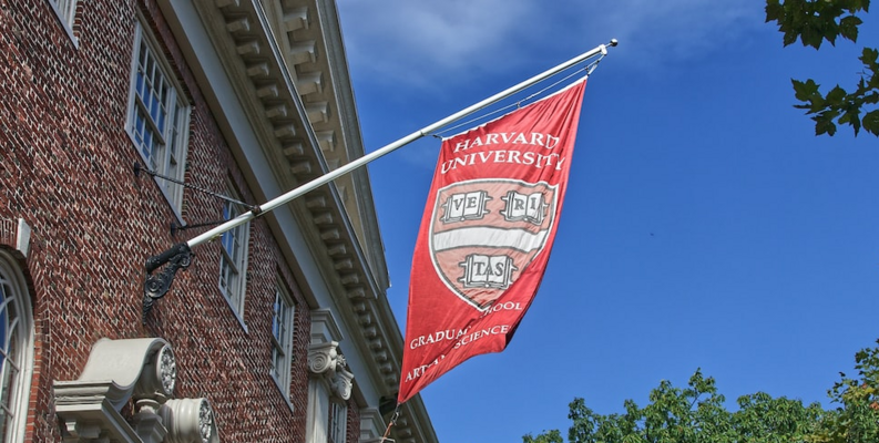 Musa Mariam Portfolio